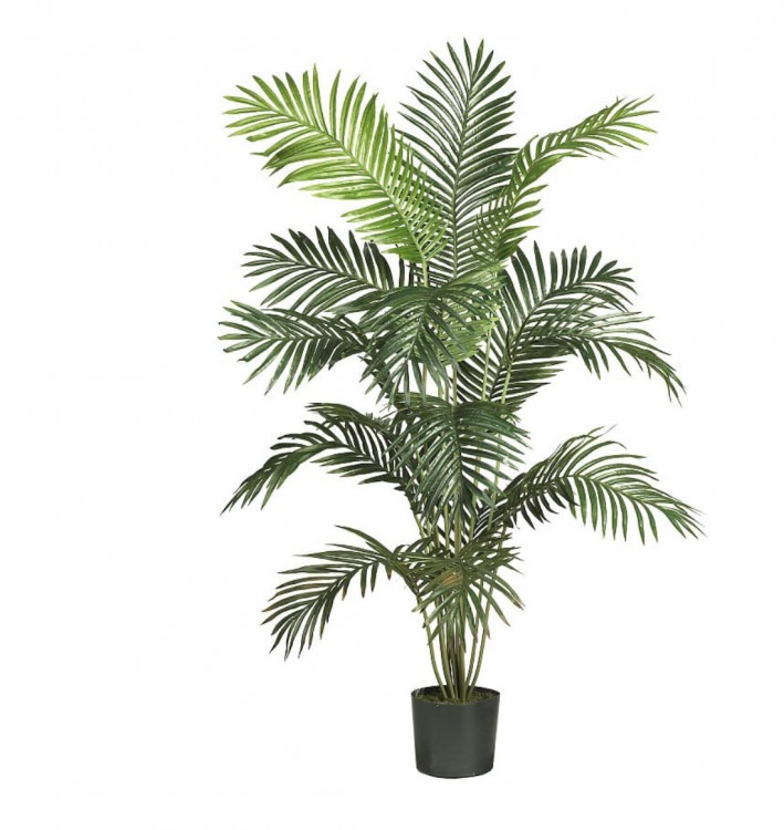 Artificial Trees / Palm Trees - Encinitas Party Rentals Encinitas,CA